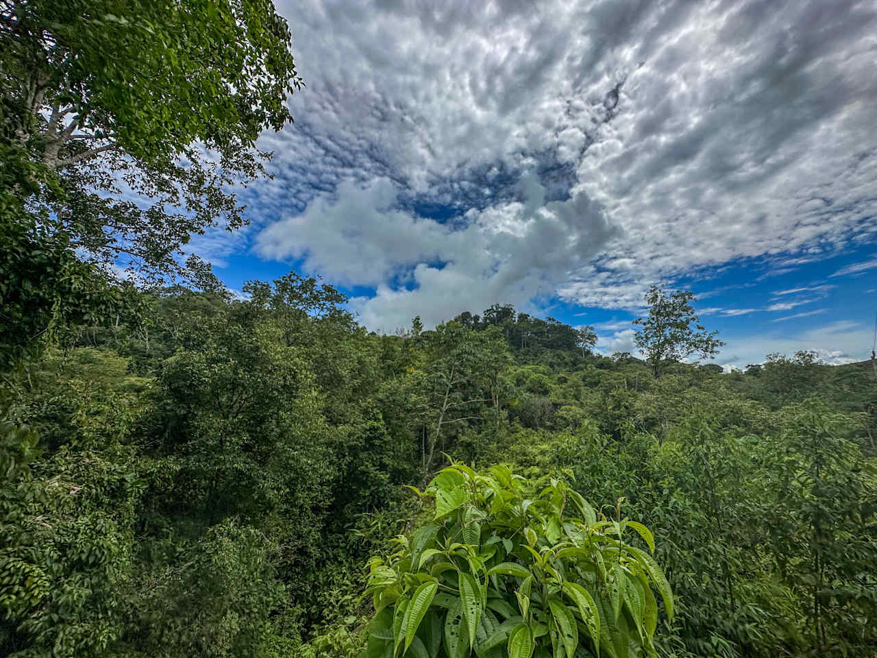 Eco Conservation Opportunity | 26 Acres of Costa Rican Nature