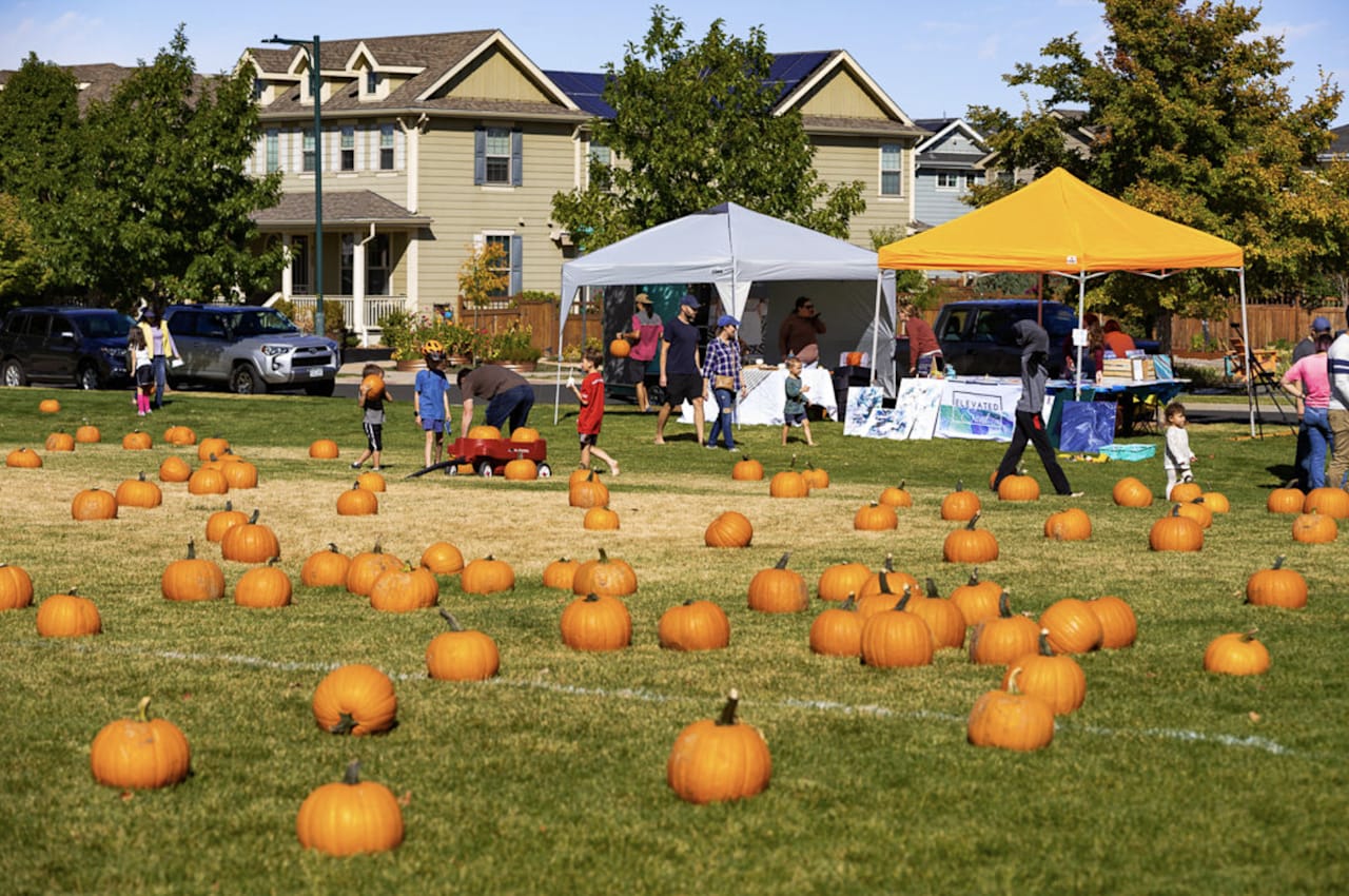 Central Park Fall Festival 2022 | jasoncummingsdenver.com