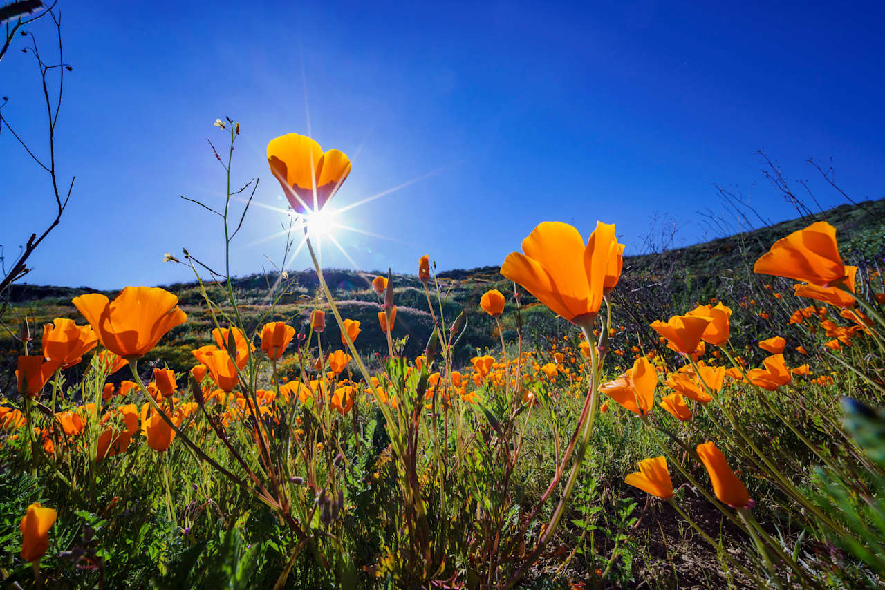 Stallion Springs | Neighborhood Guide | Connie Peacon