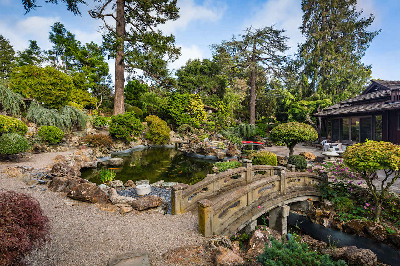 San Mateo Park | Derrick Mar