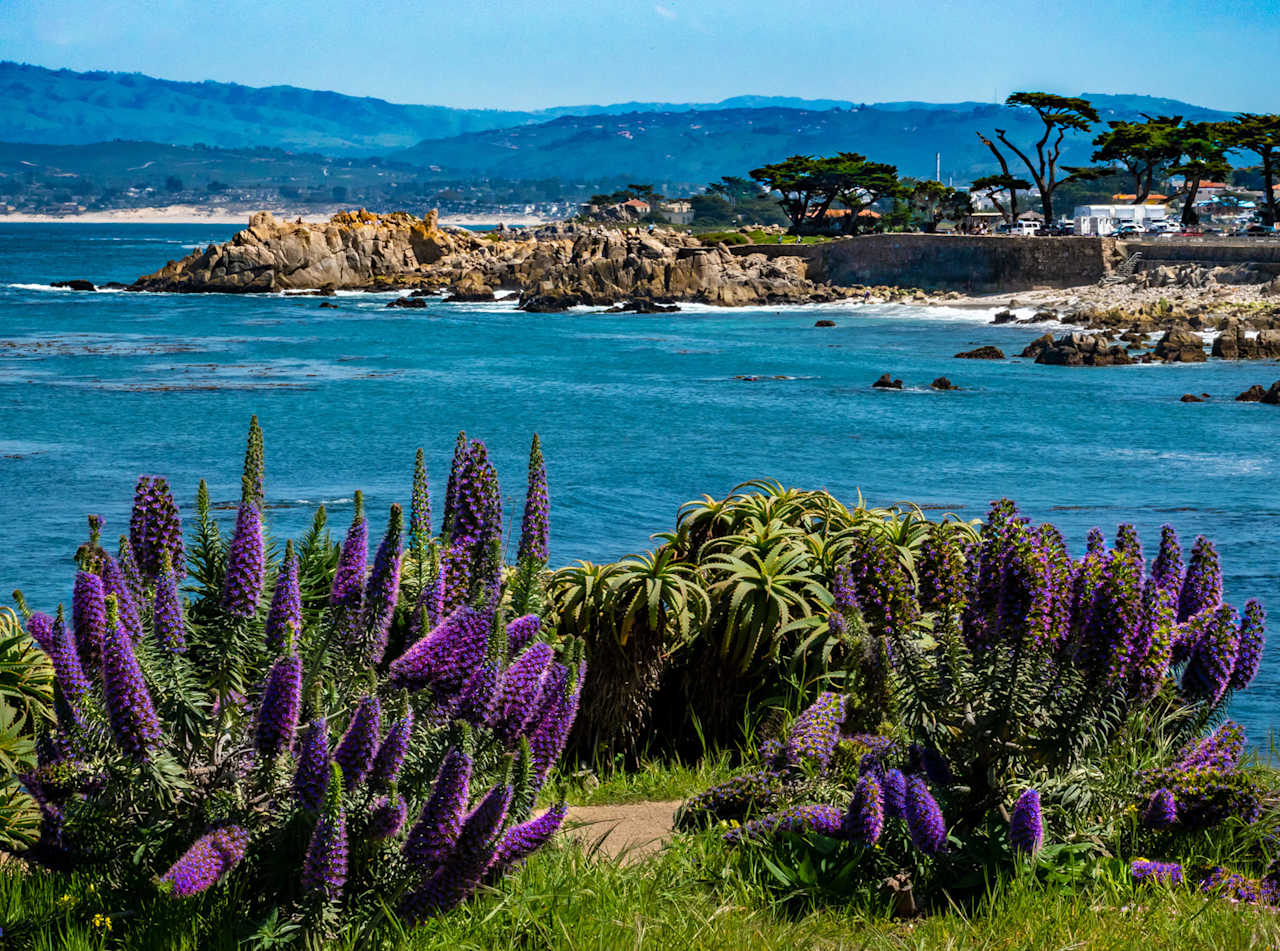Tim Allen Properties Team | Carmel-By-The-Sea Real Estate Team