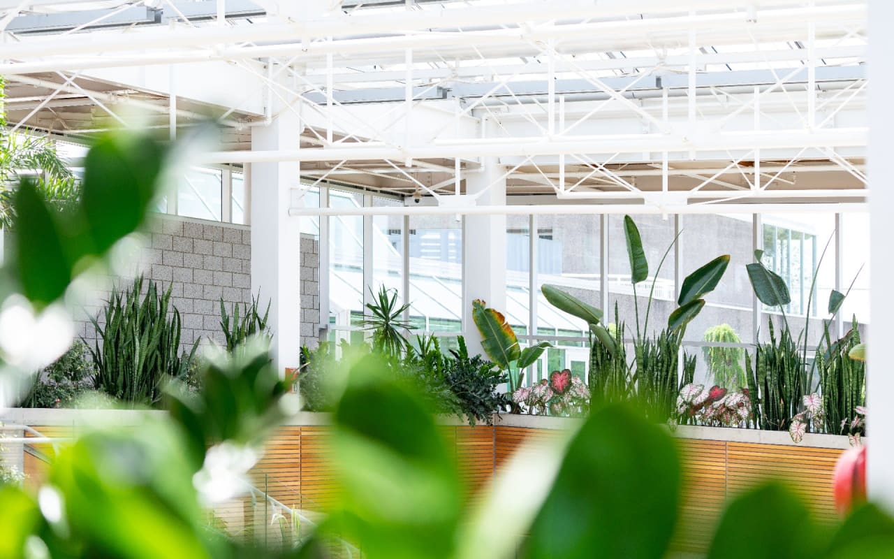 The Warner Hall Group | St. Louis Real Estate Agents