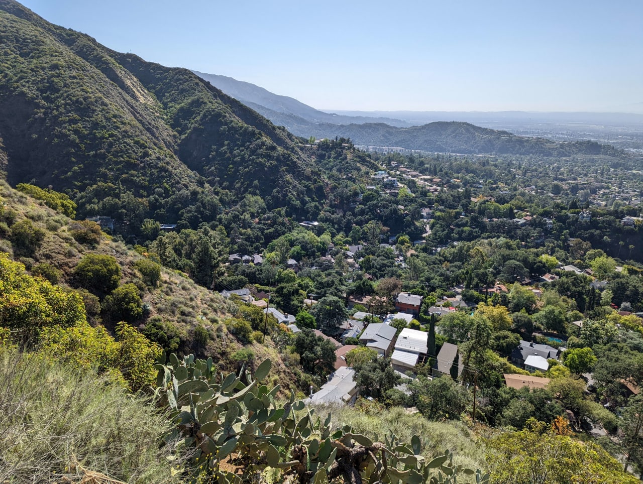 Arcadia Neighborhood Guide | Garrett Chan