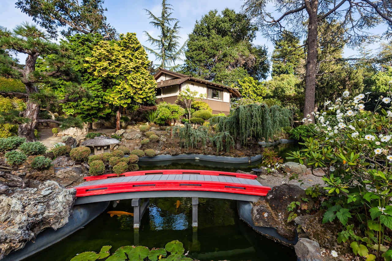 San Mateo Park | Derrick Mar