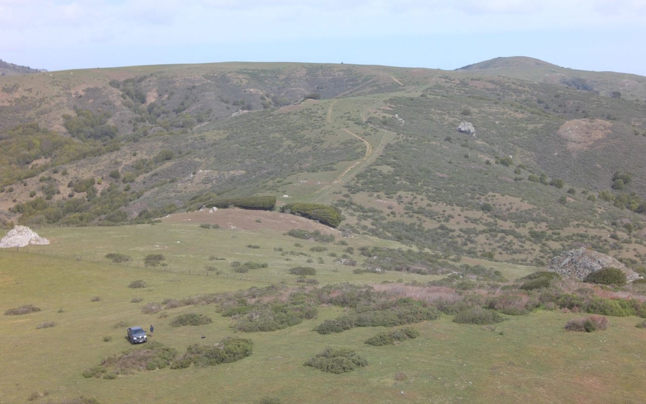 Gallery | Martinelli Ranch | Peter Maselli