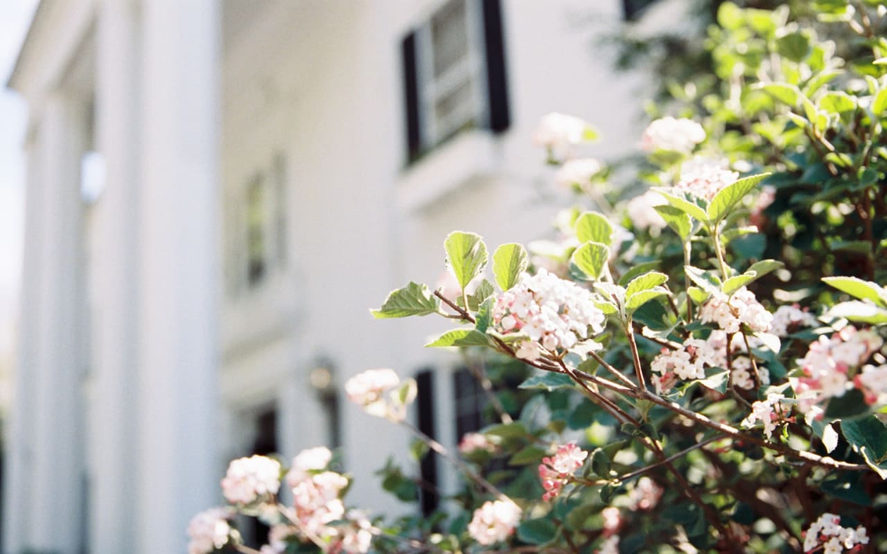 The Warner Hall Group | St. Louis Real Estate Agents