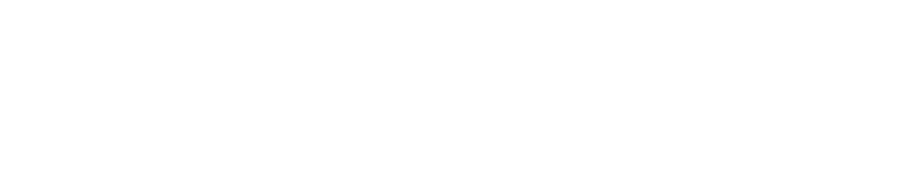 Allison Pochapin | Pittsburgh Real Estate Agent