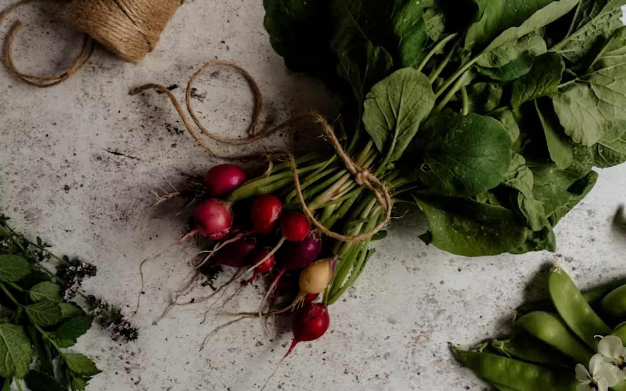 Tamithy Howrigan | St Albans, VT Real Estate Agents