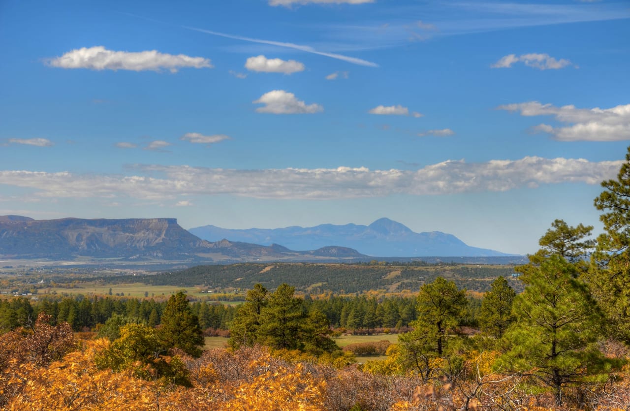 Hal Lott | Durango Real Estate Professional