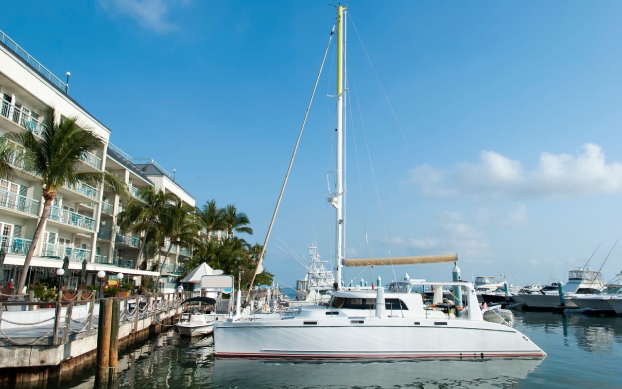 Discover Siesta Key: Your Ultimate Neighborhood Guide Discover Siesta Key: Your Ultimate Neighborhood Guide