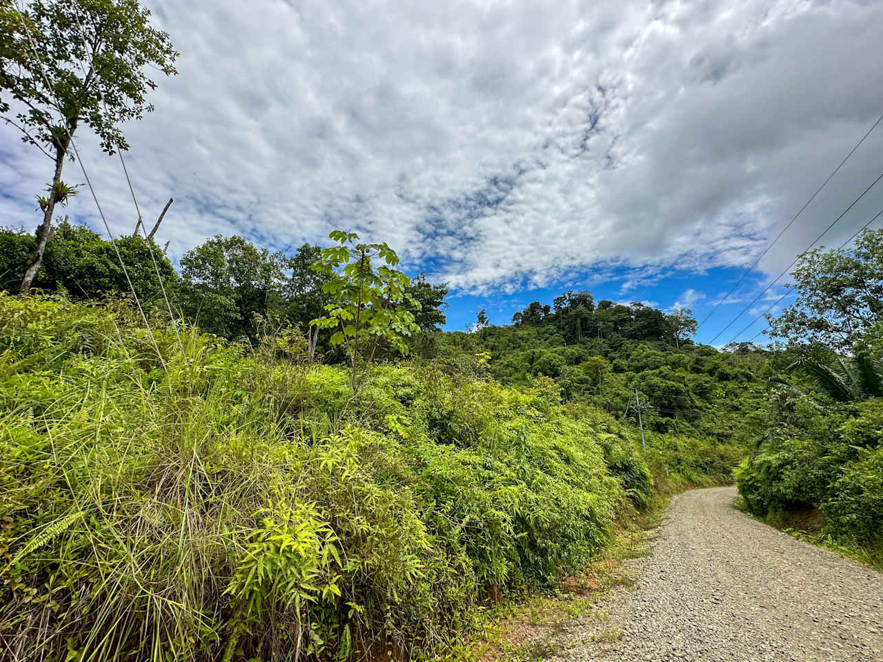 Eco Conservation Opportunity | 26 Acres of Costa Rican Nature