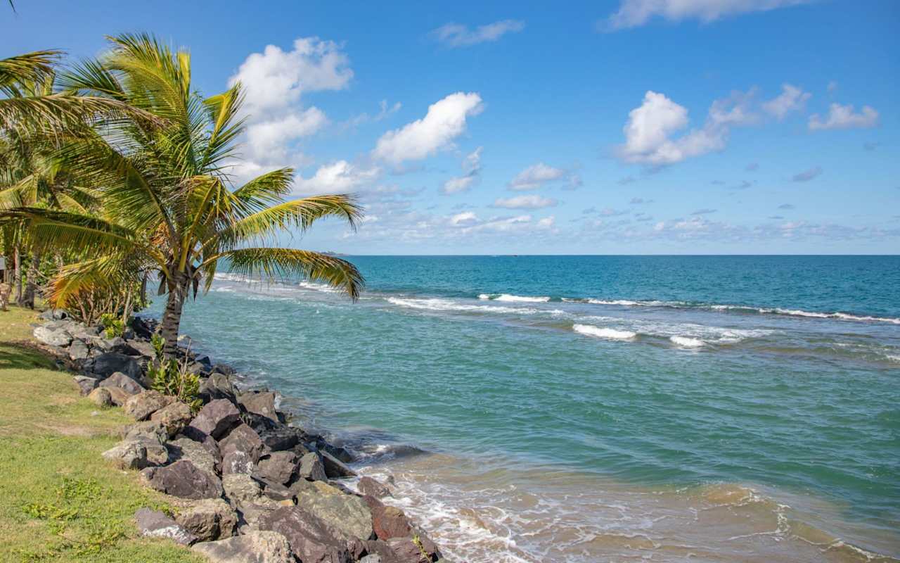 Bahia Beach | Puerto Rico