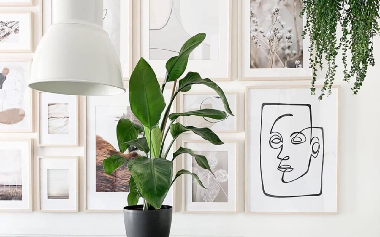 Wall Art Trends To Know | Blog | Boston Real Estate Agent