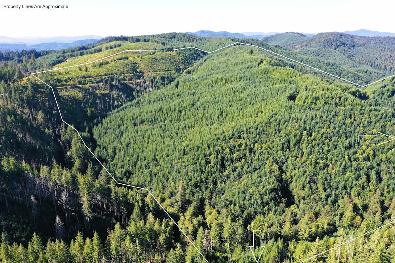 Land | Oregon Real Estate | Made Out West Land Co.