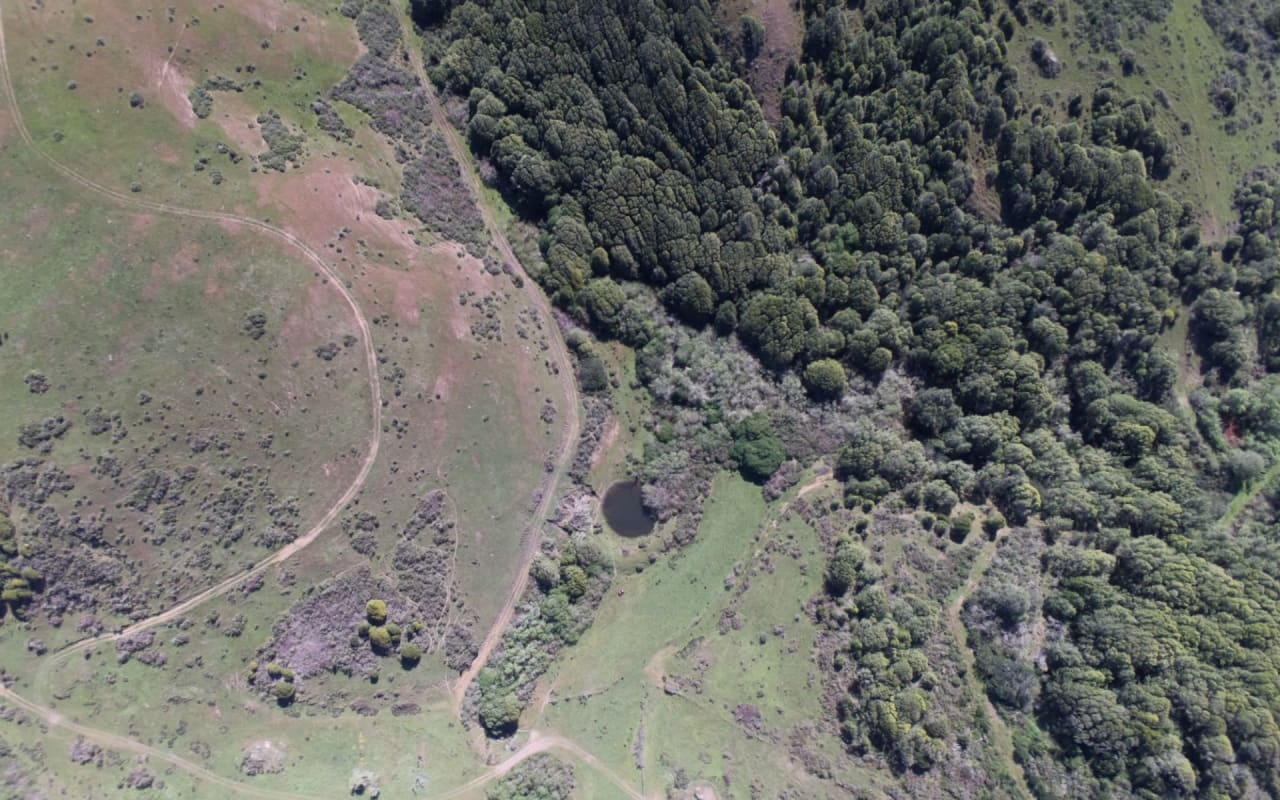 Martinelli Ranch | Peter Maselli