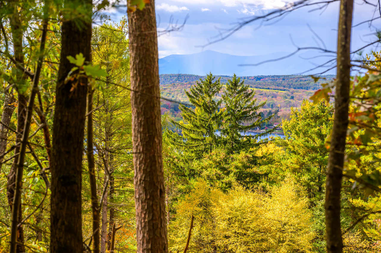 The Ridge at Copake Lake, No. 8 | John Barbato | New York Real Estate Agent