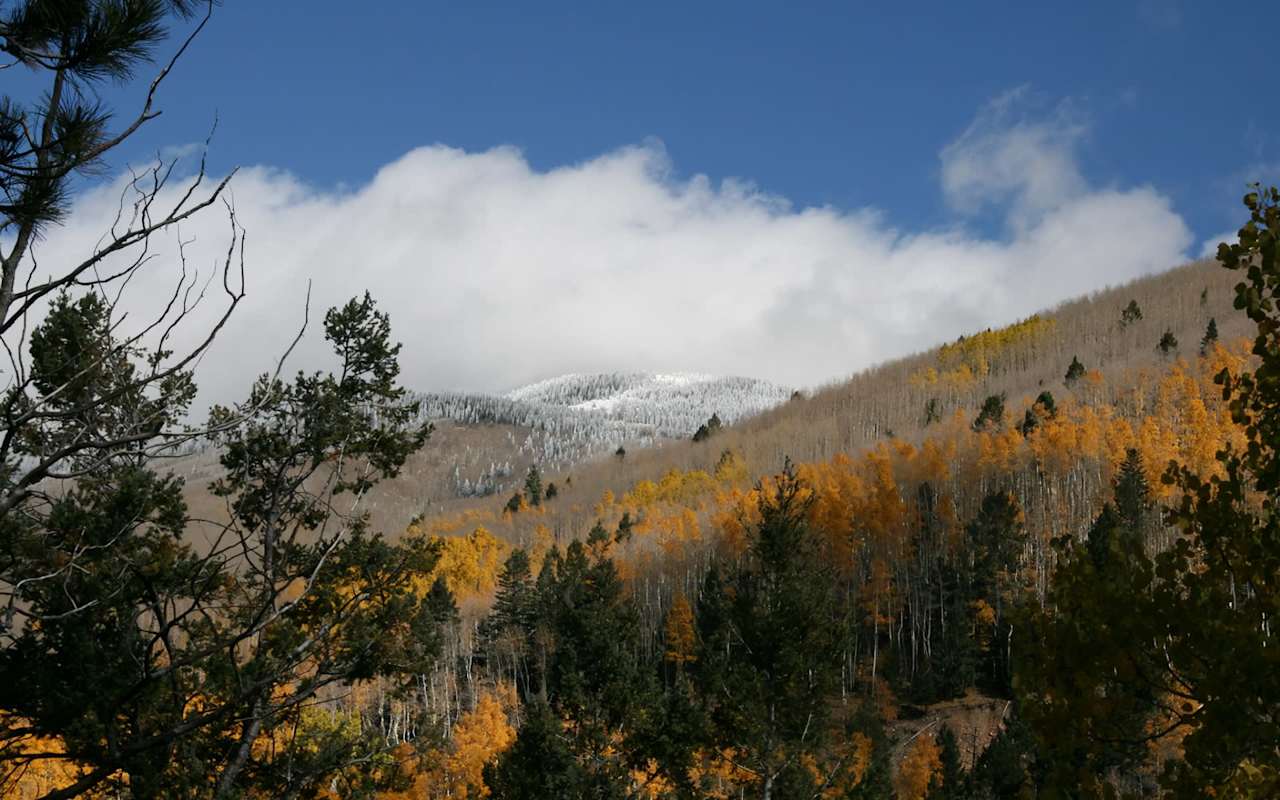 Ricky Allen, Cathy Griffith & Tara Earley | Santa Fe Real Estate Agents