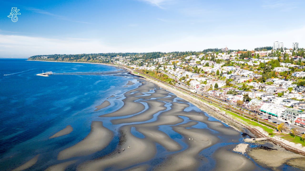 The Landmark at Foster Martin | Landmark Premier Properties | White ...