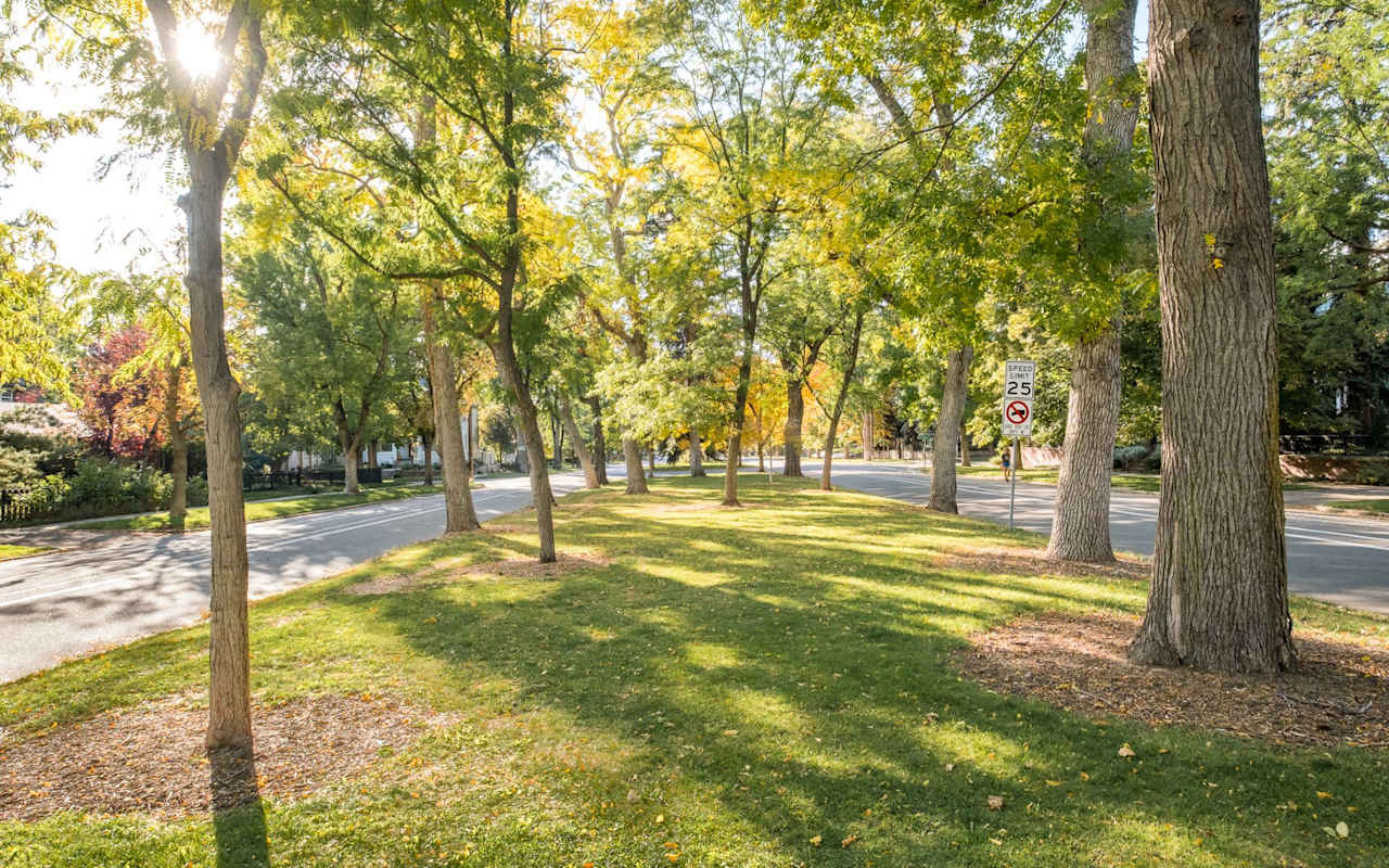 Denver Neighborhood Guides | Stephanie Goldammer