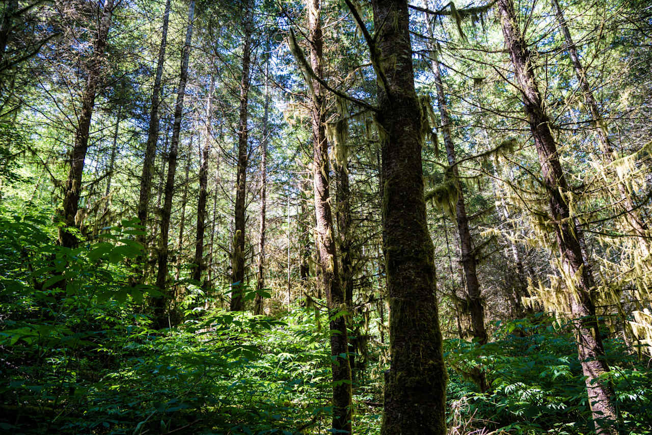 Eddyville/Sam's Creek Sealed Bid Offering (No Published Reserve)