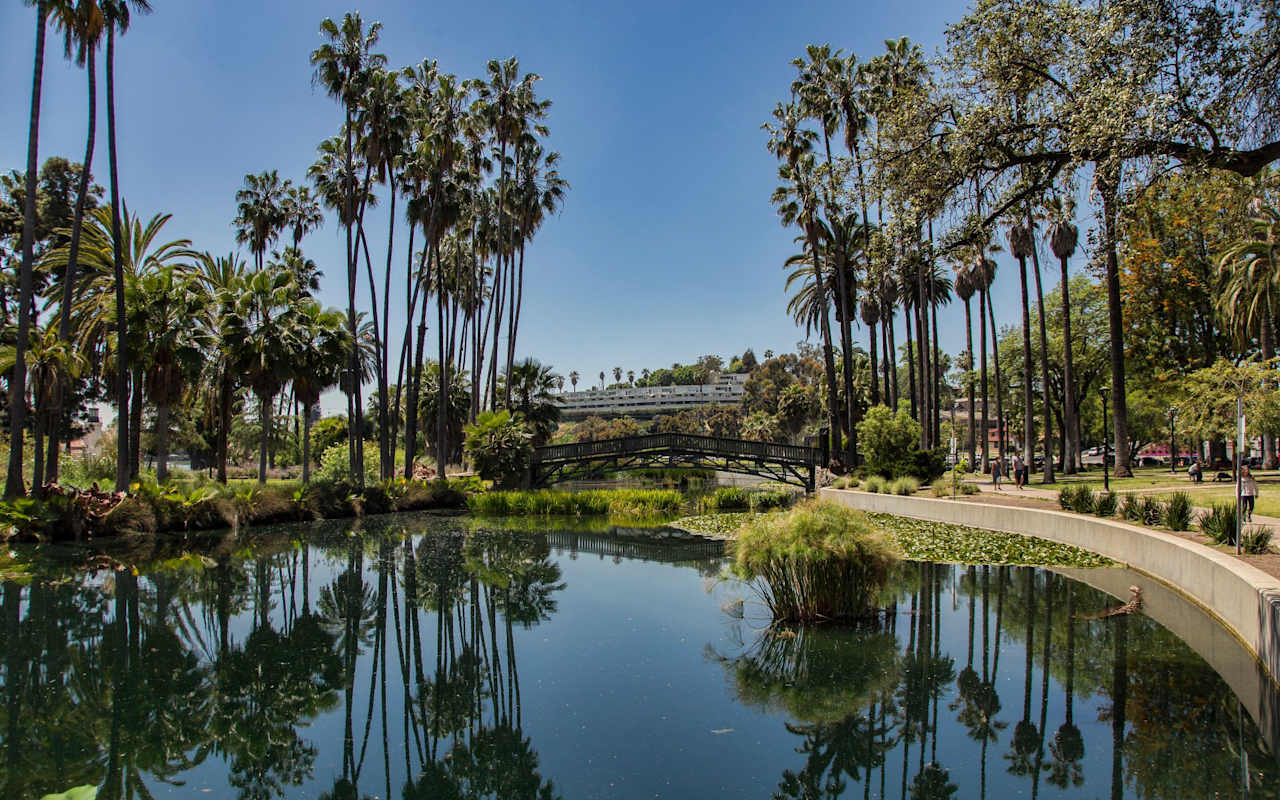 Living in Hancock Park, CA: Neighborhood Guide | Thomas Hilal