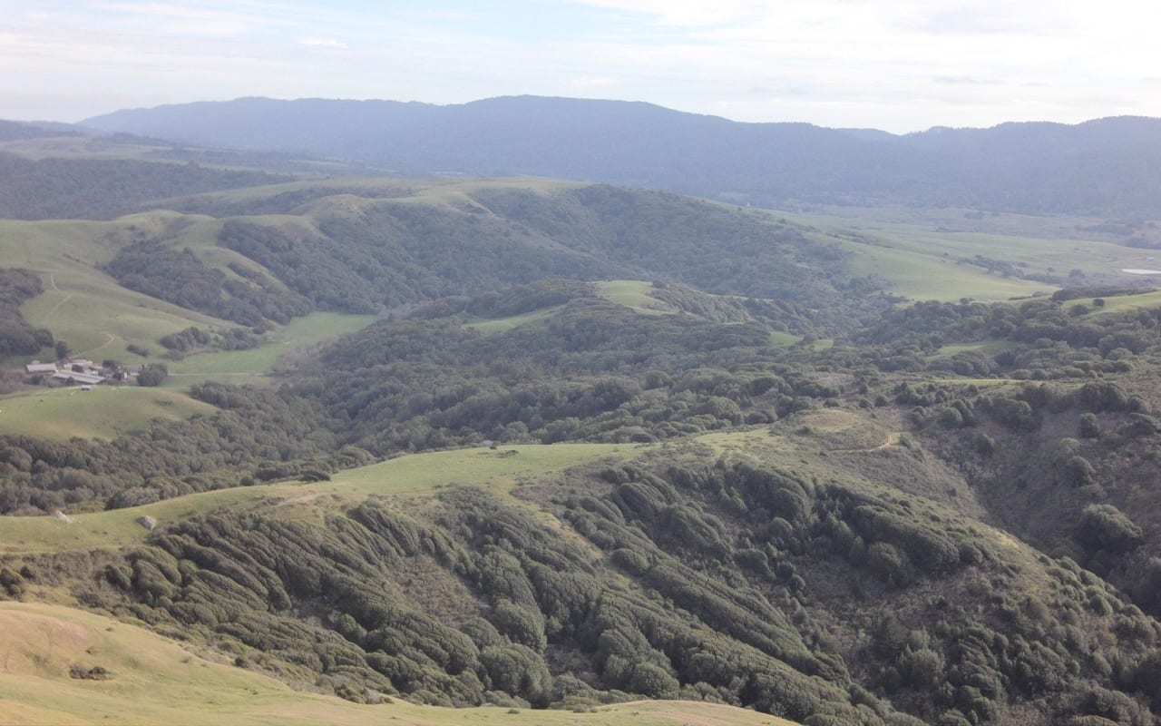 Martinelli Ranch | Peter Maselli