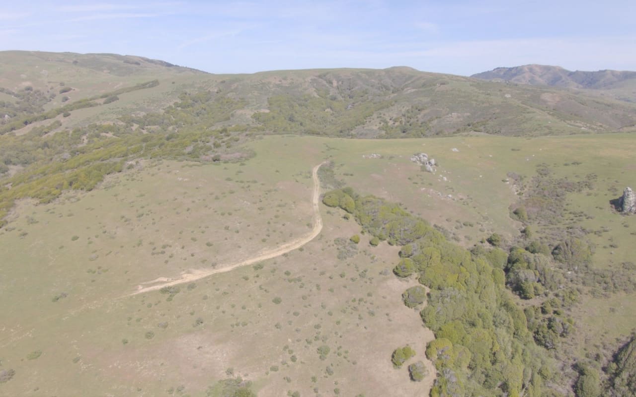 Martinelli Ranch | Peter Maselli