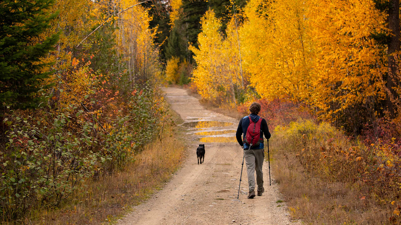 Arlington VA Fall Activities - Outdoor Spots in Arlington | Varity Homes