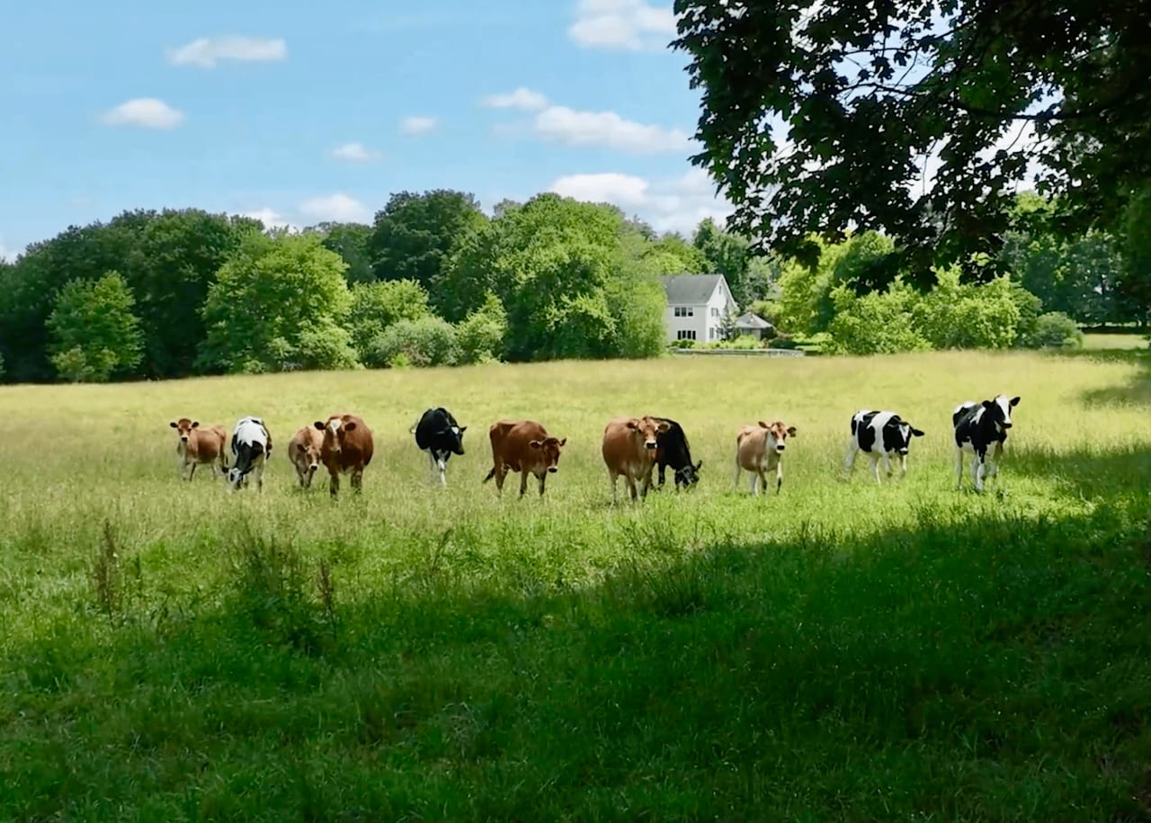 Amenities | Baiting Brook Farm
