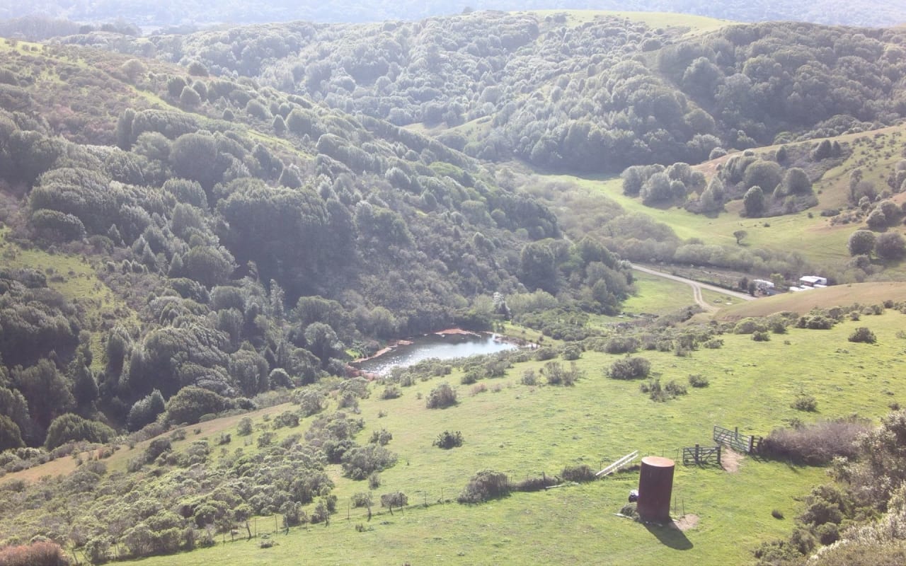 Gallery | Martinelli Ranch | Peter Maselli