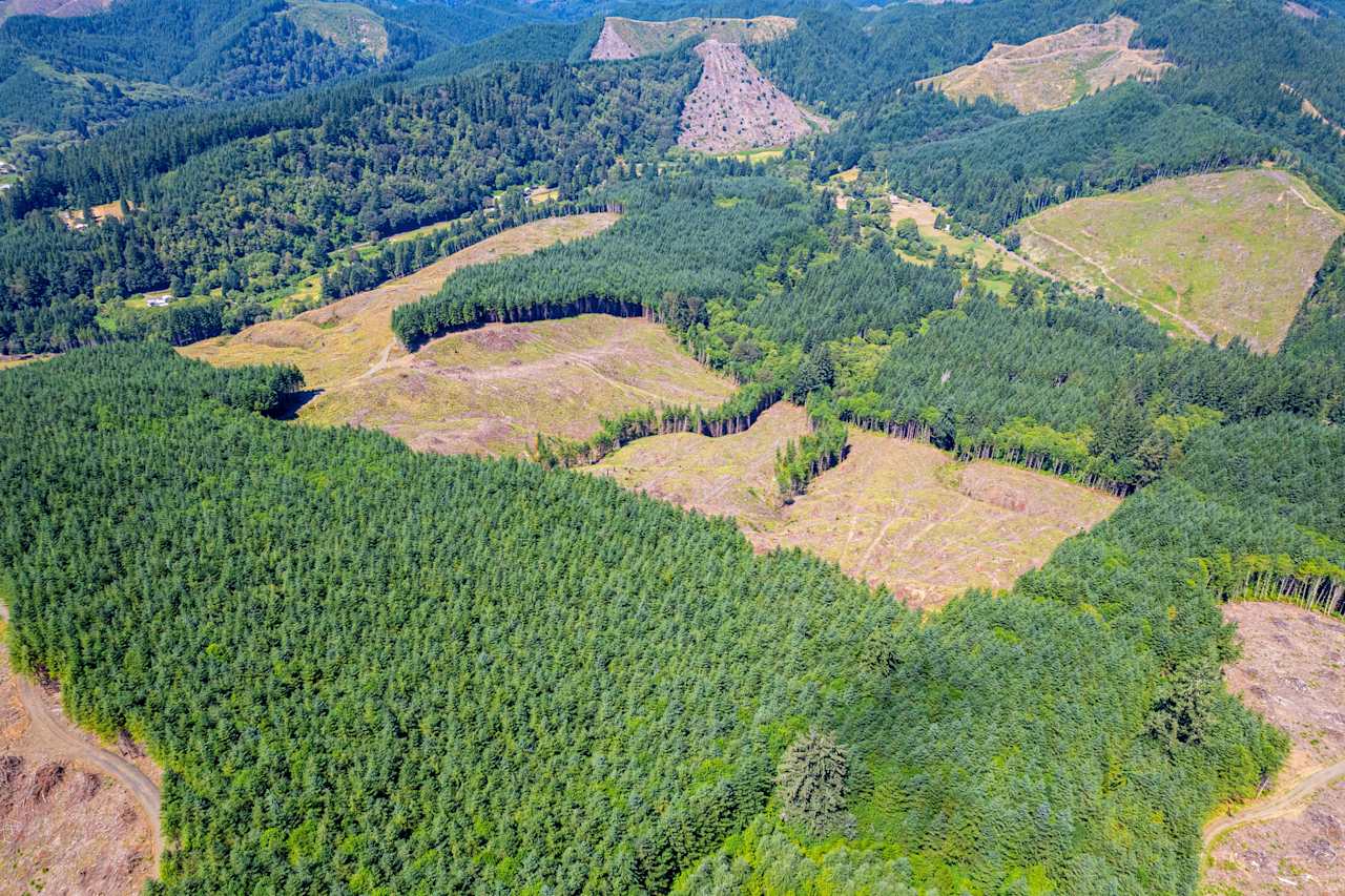 Eddyville/Sam's Creek Sealed Bid Offering (No Published Reserve)