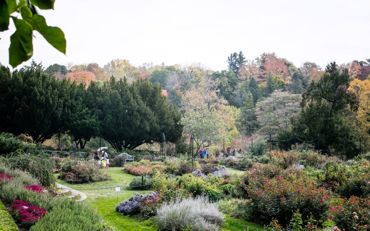 Main Line Real Estate | Homes for Sale in Main Line, PA