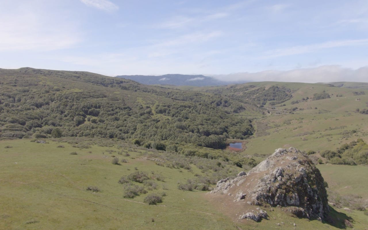 Martinelli Ranch | Peter Maselli