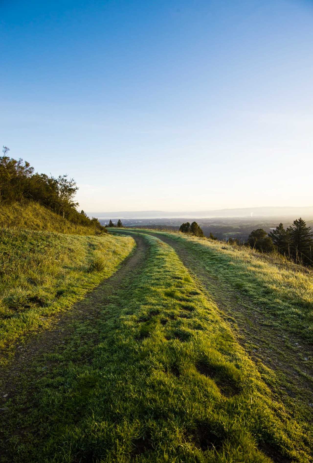 Central Valley | Neighborhood Guide