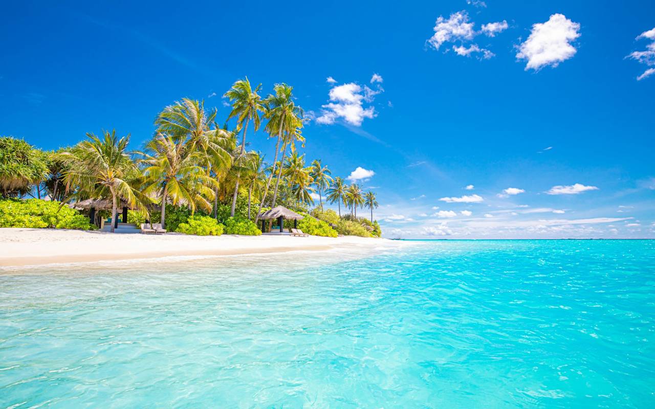 Shannon Juliano | Real Estate Agent Serving Kauai, Hawaii