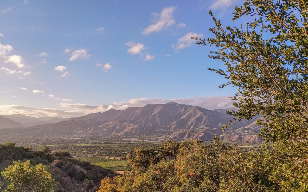 Sharon MaHarry | Ojai Real Estate Agent & Realtor