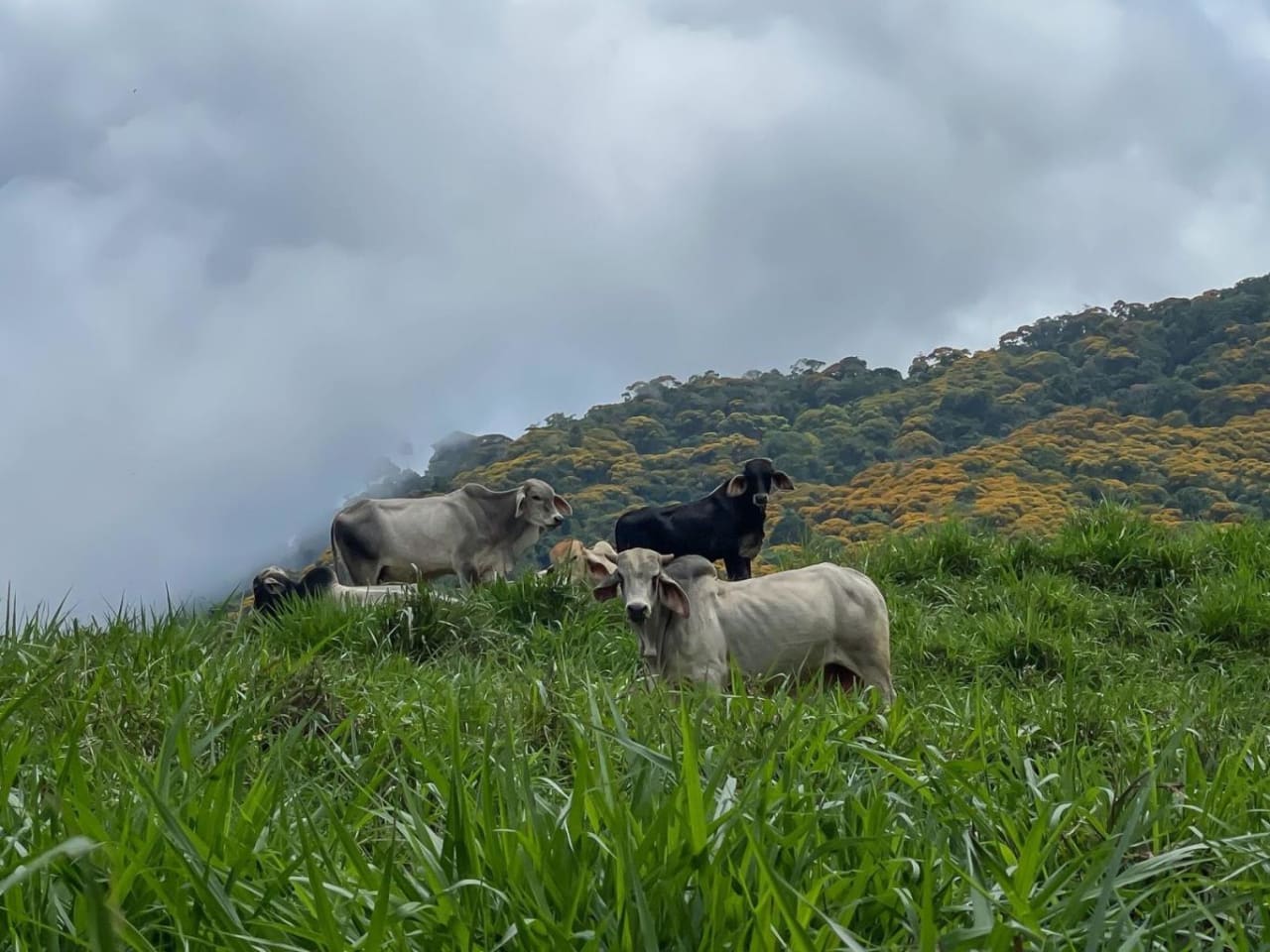 The Ultimate Sustainable Legacy, 360-degree Breath-taking Views Sea ...