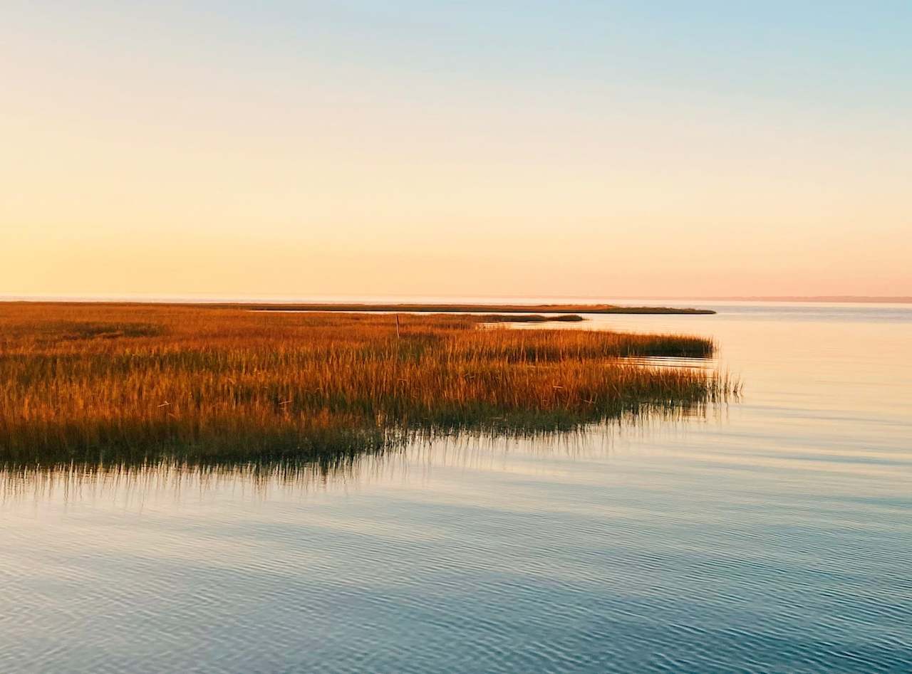 Bellport and Communities | Old Purchase Properties