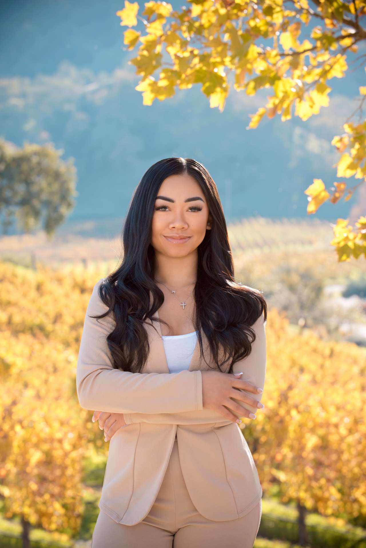 SF Peninsula Real Estate - Homes to Buy & Sell