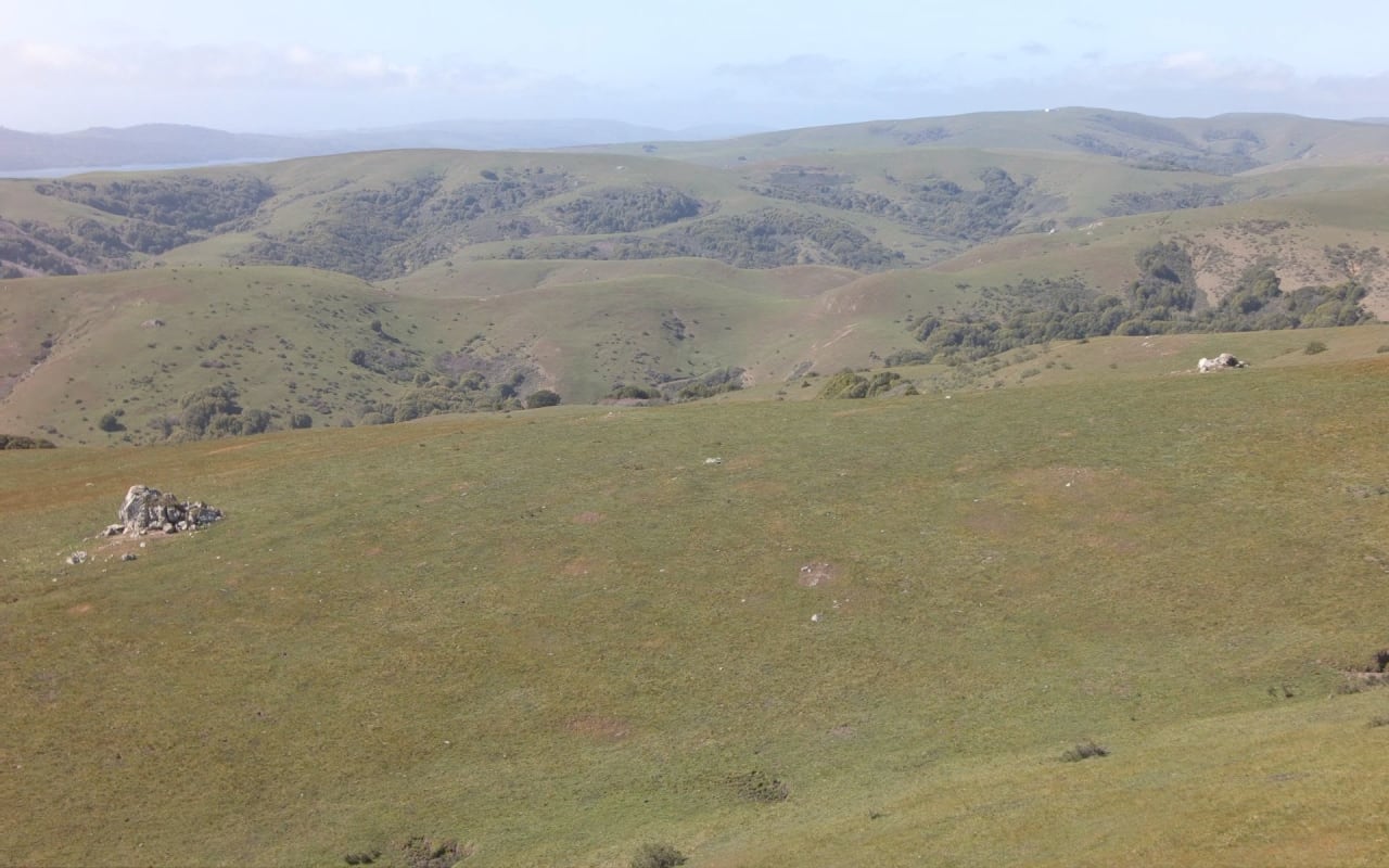 Gallery | Martinelli Ranch | Peter Maselli