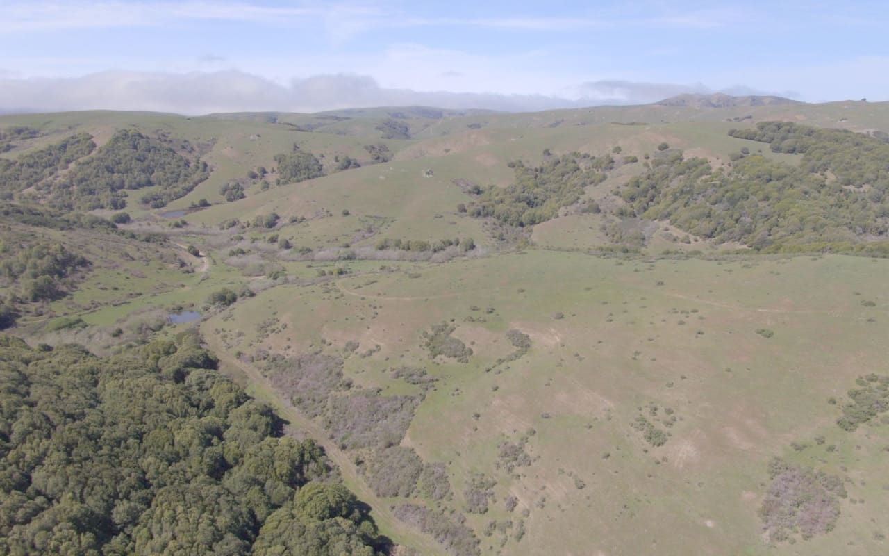 Martinelli Ranch | Peter Maselli