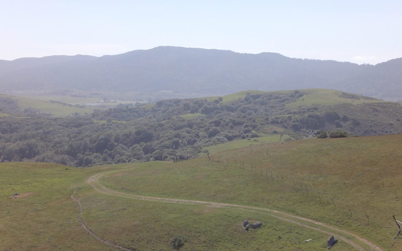 Martinelli Ranch | Peter Maselli