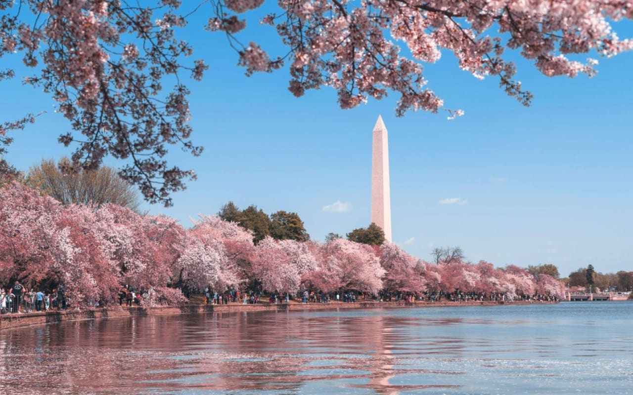 Washington DC Weekend Getaway | Blog | Things to Do in Washington DC