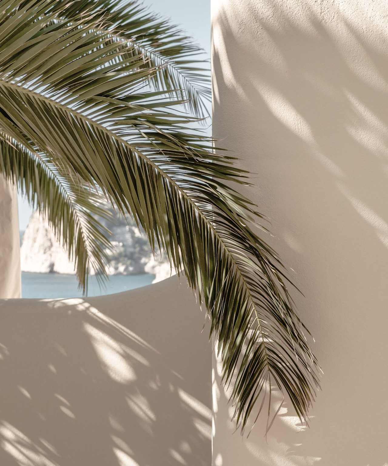 Arielle Dixon | Real Estate Agent Serving Pleasanton