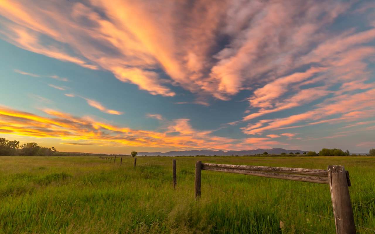 Callie Pecunies | Big Sky Real Estate