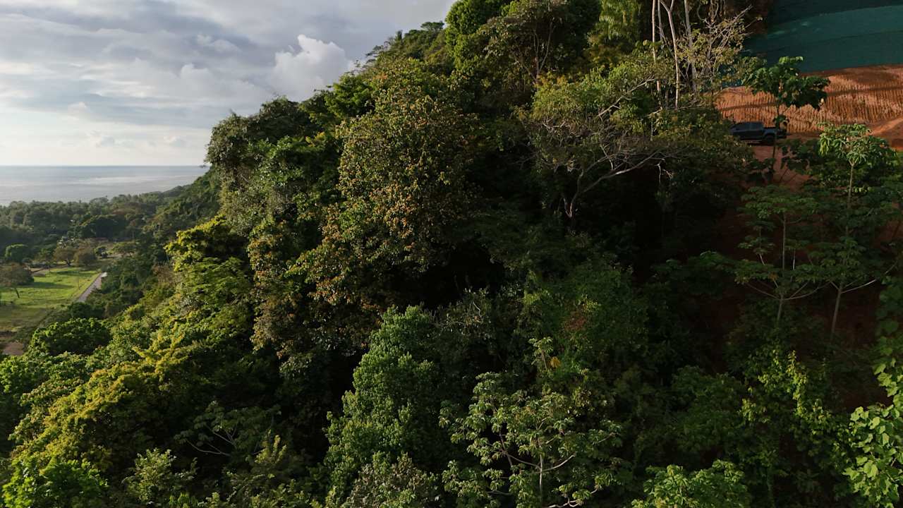 Breathtaking 5-Acre Ocean-View Property in Ojochal, Punta Mala - Your ...