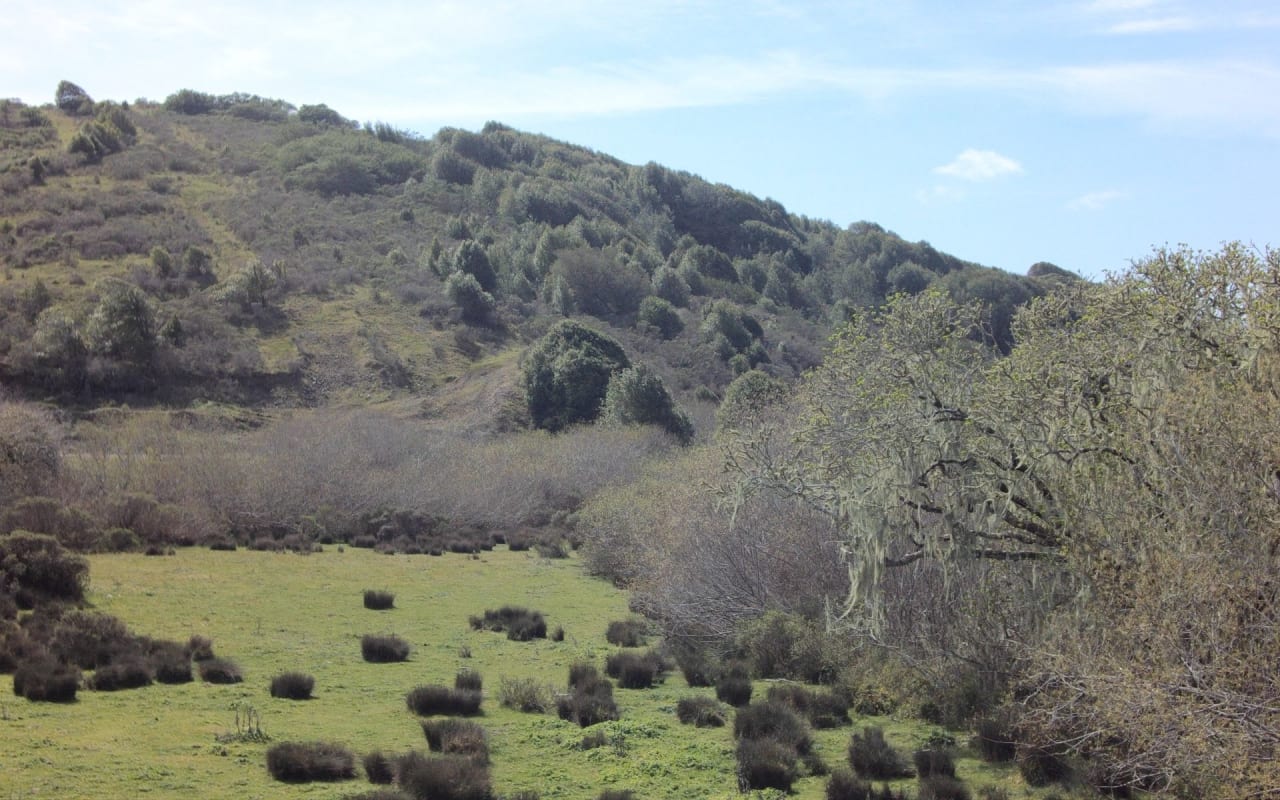 Martinelli Ranch | Peter Maselli