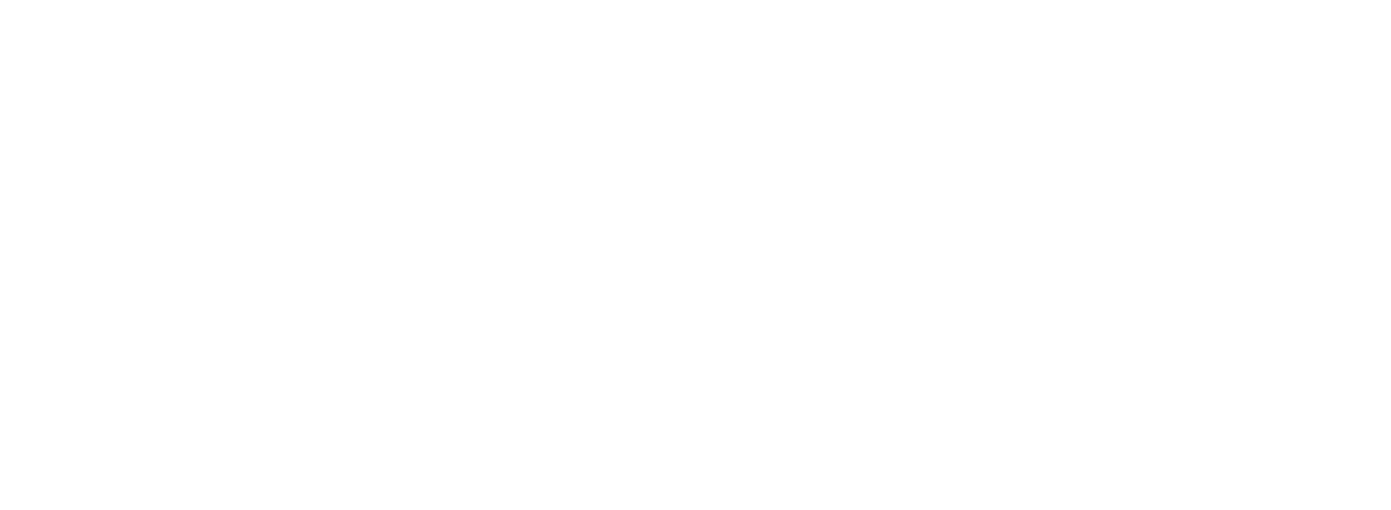 Dora Puig | #1 Miami Beach Luxury Real Estate Agent