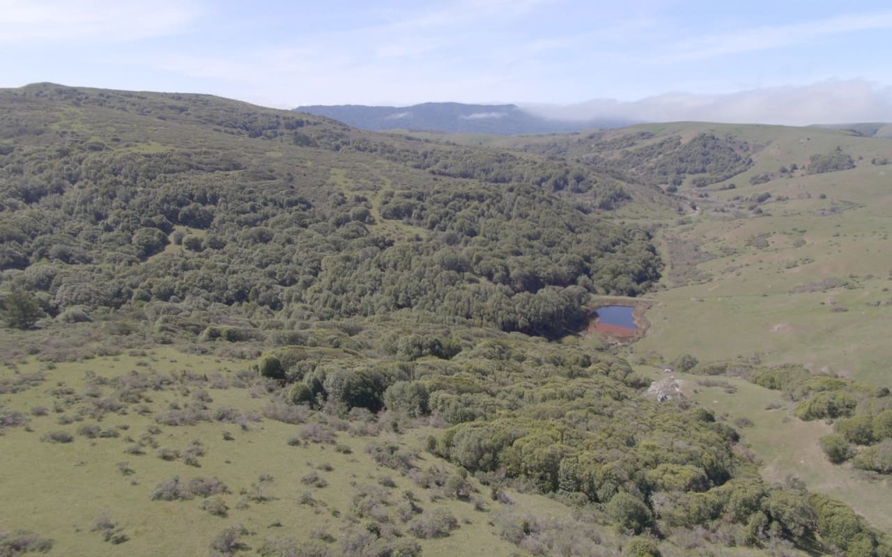 Gallery | Martinelli Ranch | Peter Maselli