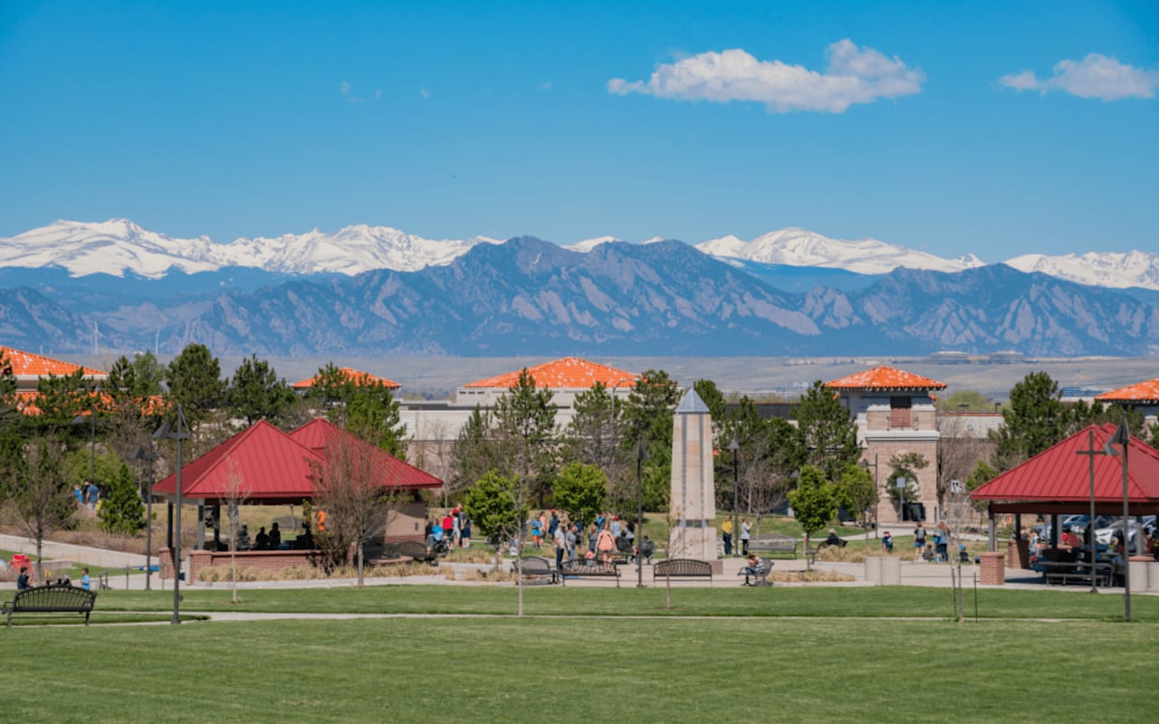 Living in Westminster | Blog | Jennifer Stuckey | Jennifer Stuckey